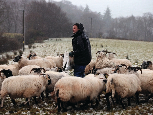 Inside Housing - Insight - Welcome to Arran