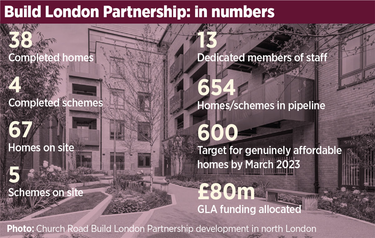 Social Housing - Comment - Our small sites programme has proved its ...